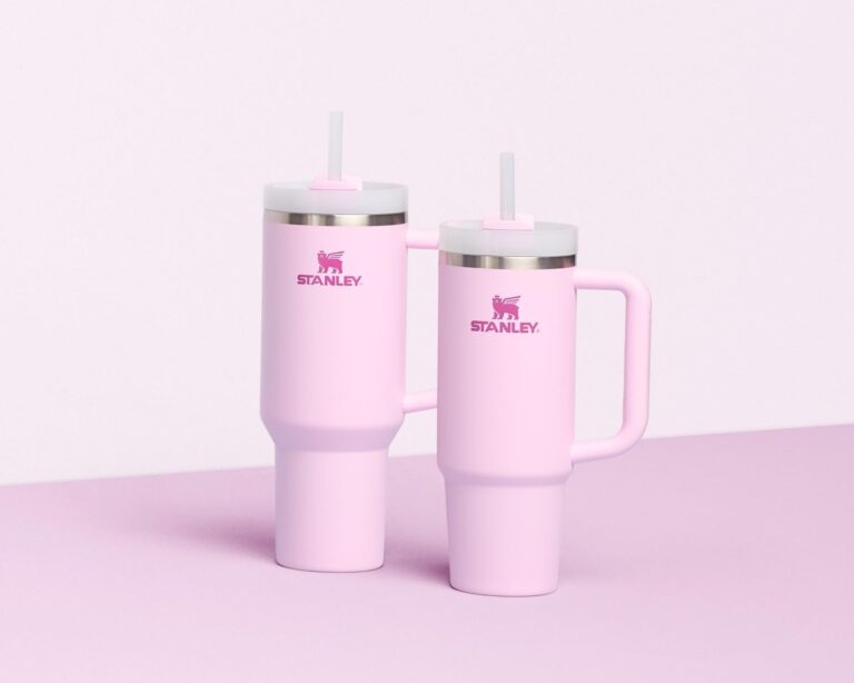 Yummy Colors in the Stanley Mugs | CirceD